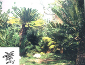 October 23, 2011 | Everything Dinosaur Blog