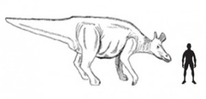 Dentition of Hadrosaurs - A New Study into Dinosaur Teeth