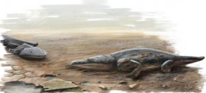 March 24, 2015 | Everything Dinosaur Blog