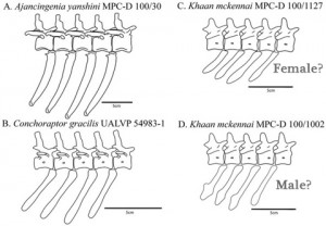 April 3, 2015 | Everything Dinosaur Blog