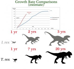 The Growth Spurts of Indominus rex (Jurassic World)