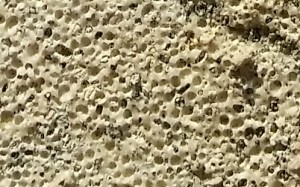 What is Oolitic Limestone? Everything Dinosaur Explains