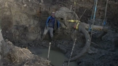 October 4, 2015 | Everything Dinosaur Blog