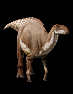 January 29, 2017 | Everything Dinosaur Blog