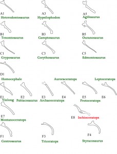 December 14, 2015 | Everything Dinosaur Blog