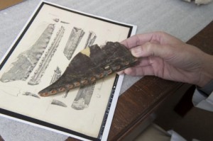 December 2, 2015 | Everything Dinosaur Blog