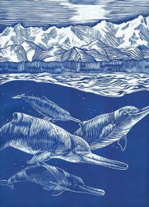 August 18, 2016 | Everything Dinosaur Blog