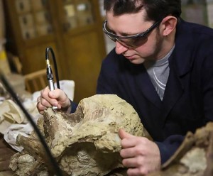 September 5, 2016 | Everything Dinosaur Blog