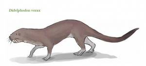 December 10, 2016 | Everything Dinosaur Blog