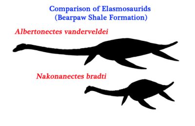 April 16, 2017 | Everything Dinosaur Blog
