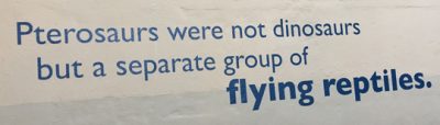 Pterosaurs Are Not Dinosaurs (Common Teaching Mistakes)