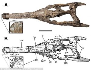 Lemmysuchus obtusidens Honours Motorhead's Frontman