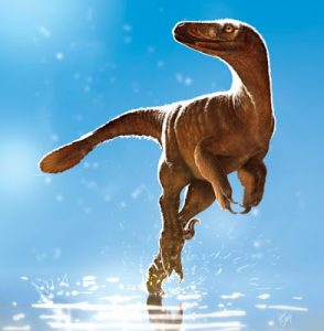 Troodon formosus Reaches the End of the Road