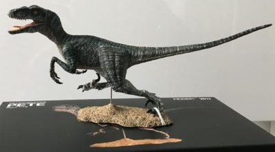 The Rebor Velociraptor Model "Pete" is Reviewed