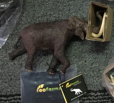 October 2, 2017 | Everything Dinosaur Blog