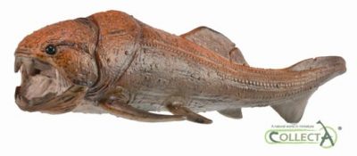 Dunkleosteus - In Praise of the CollectA Deluxe Model