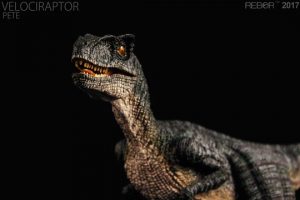 November 7, 2017 | Everything Dinosaur Blog