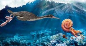 Maaqwi cascadensis - Diving Bird from the Late Cretaceous