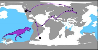 Dinosauria Study Examines Evolutionary Radiation