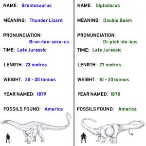March 18, 2018 | Everything Dinosaur Blog