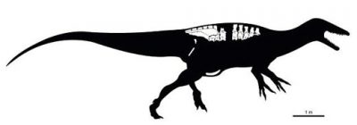 Tratayenia rosalesi - A New Megaraptoran Theropod
