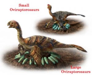 How Did Large Dinosaurs Incubate Their Eggs?