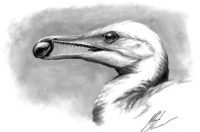 Inspiring Ichthyornis - Top of the Pecking Order