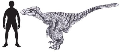 Deinonychus - The Inspiration Behind a Dinosaur Renaissance