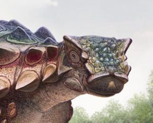 July 21, 2018 | Everything Dinosaur Blog