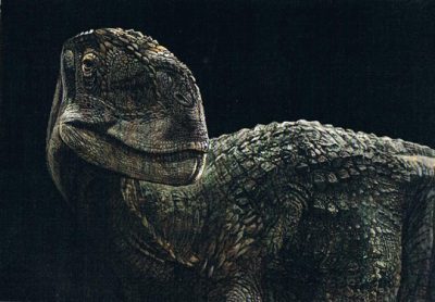 Giant Abelisaurid Footprint Discovered in Bolivia