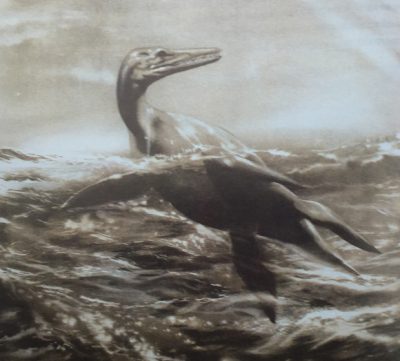 October 24, 2018 | Everything Dinosaur Blog