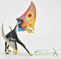 January 28, 2019 | Everything Dinosaur Blog