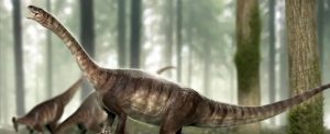Macrocollum itaquii - Oldest Long-necked Sauropodomorph