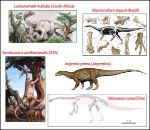 December, 2018 | Everything Dinosaur Blog