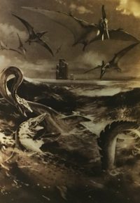 November 12, 2020 | Everything Dinosaur Blog