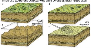 Ediacaran and the Evidence for Life on Land