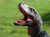 Atrociraptor marshalli from the Beasts of the Mesozoic Range