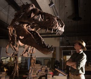 "Scotty" T. rex The Biggest T. rex Known to Science