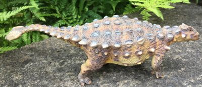 Ankylosaur Tail Clubs New Research into Their Function
