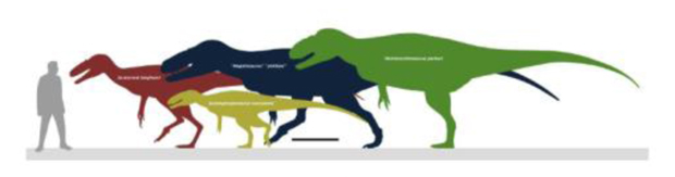 August, 2019 | Everything Dinosaur Blog