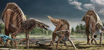 July 31, 2019 | Everything Dinosaur Blog