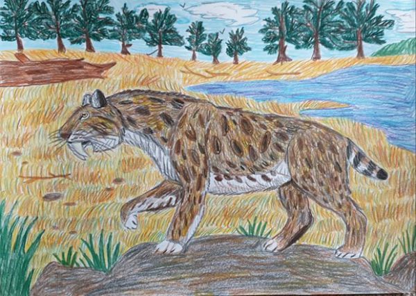 Stunning Smilodon Illustration Created by Caldey