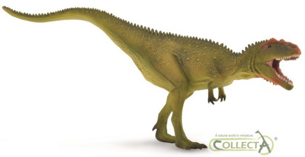 March 11, 2009 | Everything Dinosaur Blog