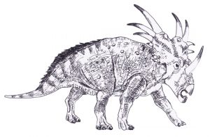 Asymmetrical Styracosaurus Skull Described
