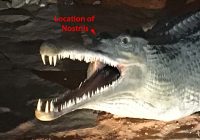 A Remarkable Phytosaur Colossosuchus techniensis from India