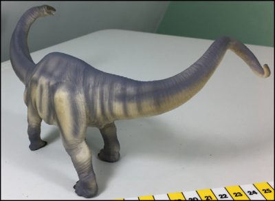 March 5, 2020 | Everything Dinosaur Blog