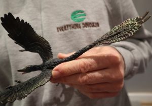 March 31, 2020 | Everything Dinosaur Blog
