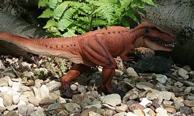 Mojo Fun Prehistoric Life T. rex Model is Reviewed