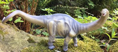 July 23, 2009 | Everything Dinosaur Blog