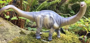 May 19, 2011 | Everything Dinosaur Blog
